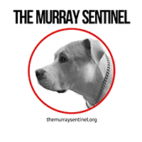The Murray Sentinel | Calloway County's Watchdog